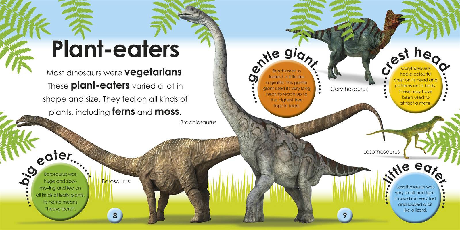 Names Of Types Of Dinosaurs Dinosaur Park